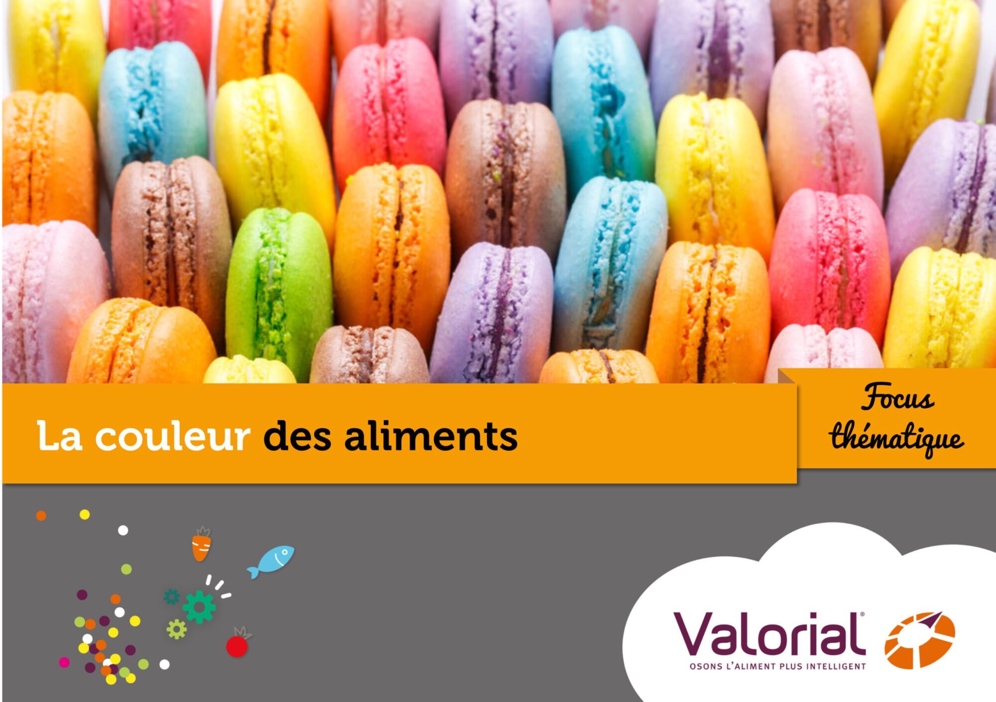 Le Focus thématique « La couleur des aliments » est disponible ! - Valorial