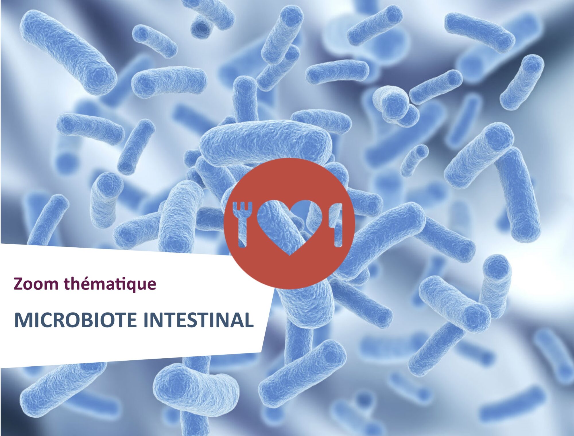 Zoom thématique "Le microbiote intestinal" - Valorial