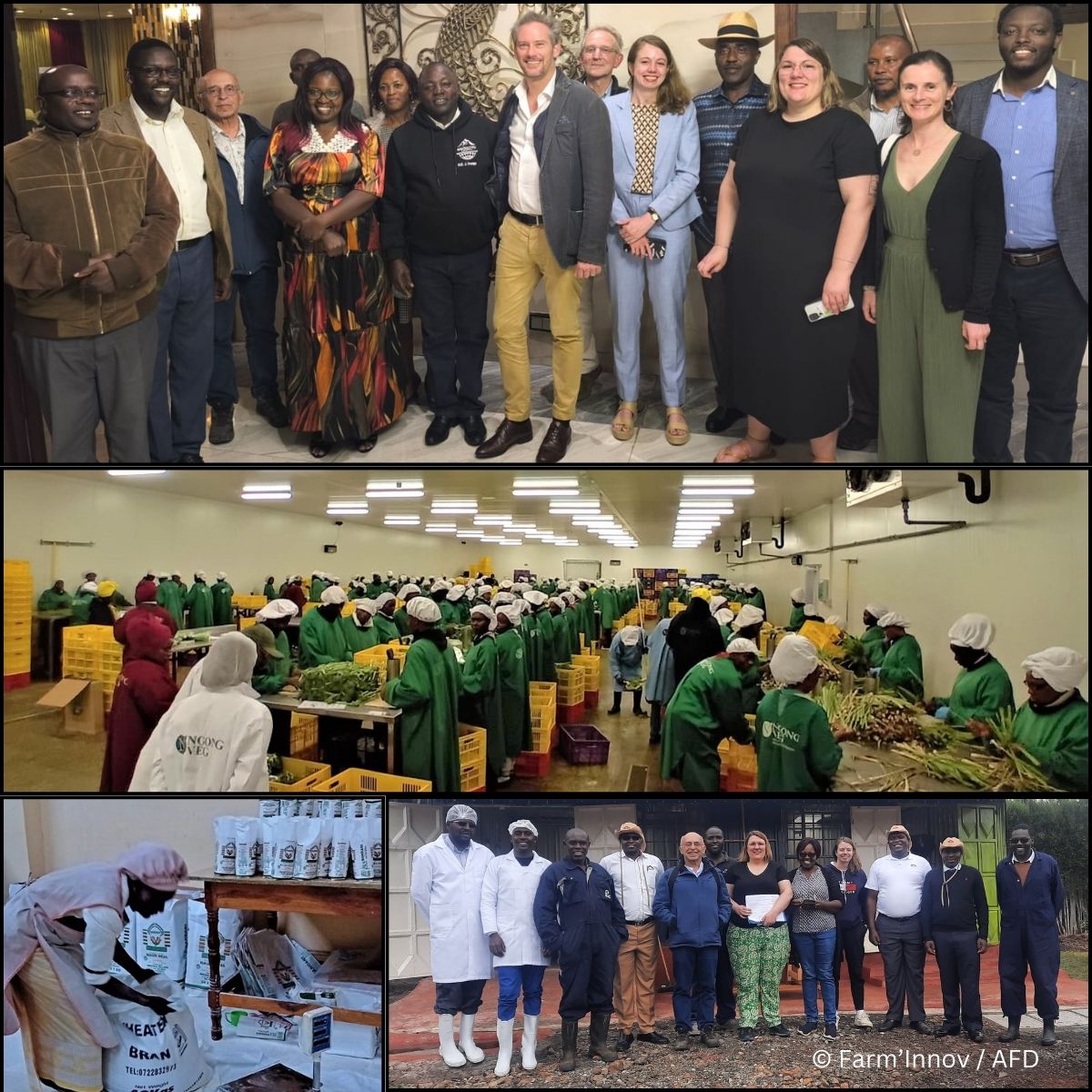 Farm'Innov : une quinzaine d'entreprises agro kenyanes pré-sélectionnées pour le programme d ...